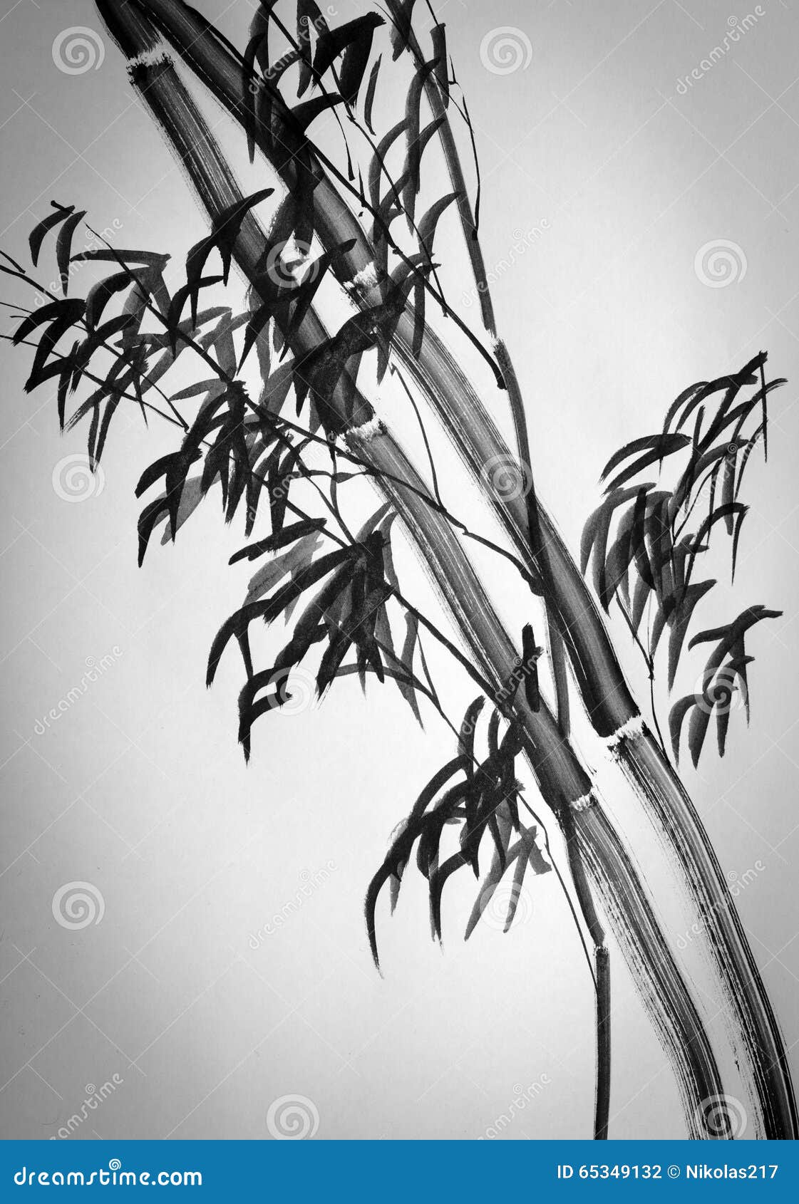 Two bamboo tree stock illustration. Illustration of drawing - 65349132