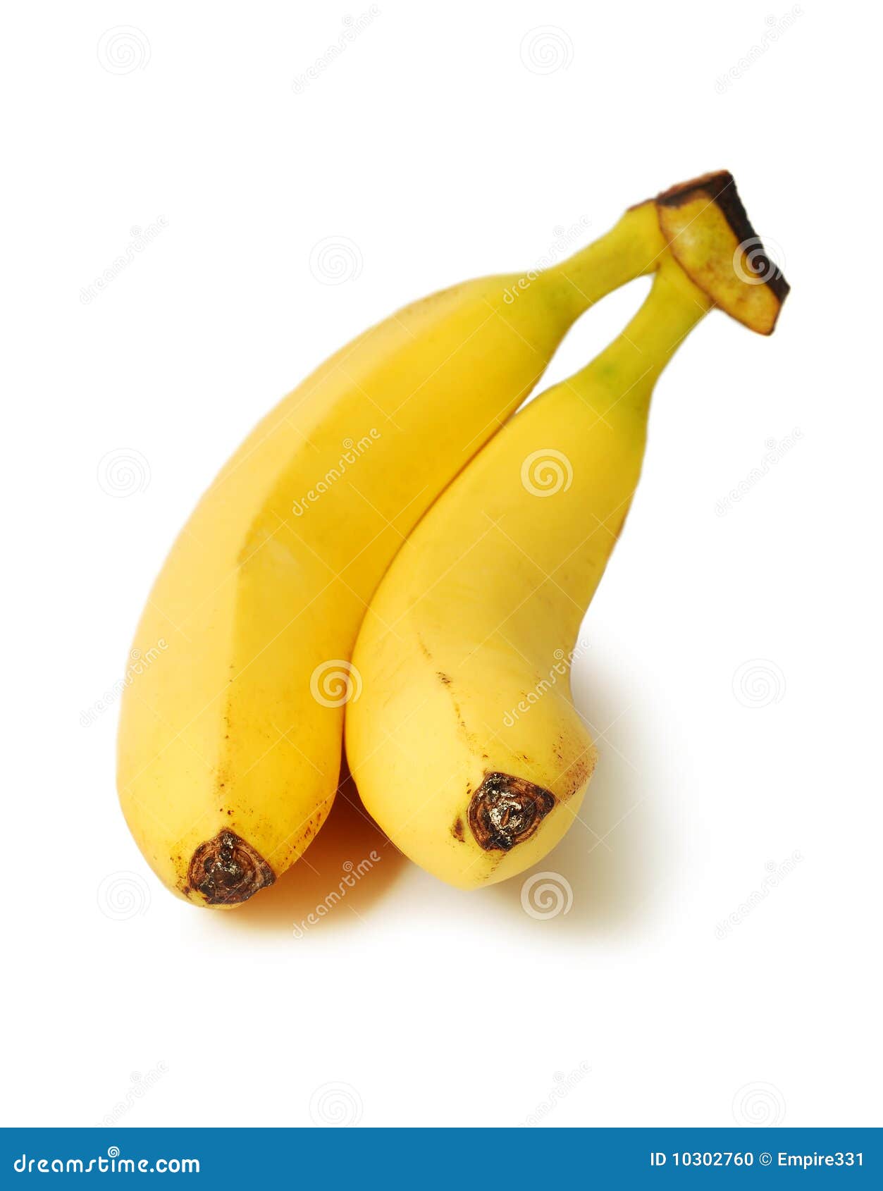 Two bananas stock photo. Image of background, vitamins - 10302760