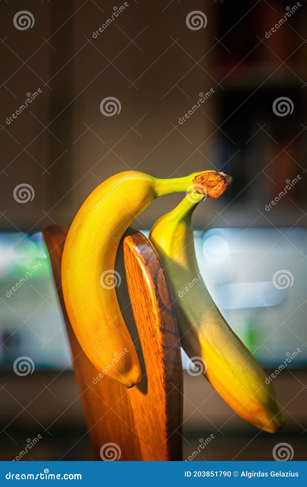 Two Bananas on the Back of a Chair Stock Photo - Image of vegetarian ...