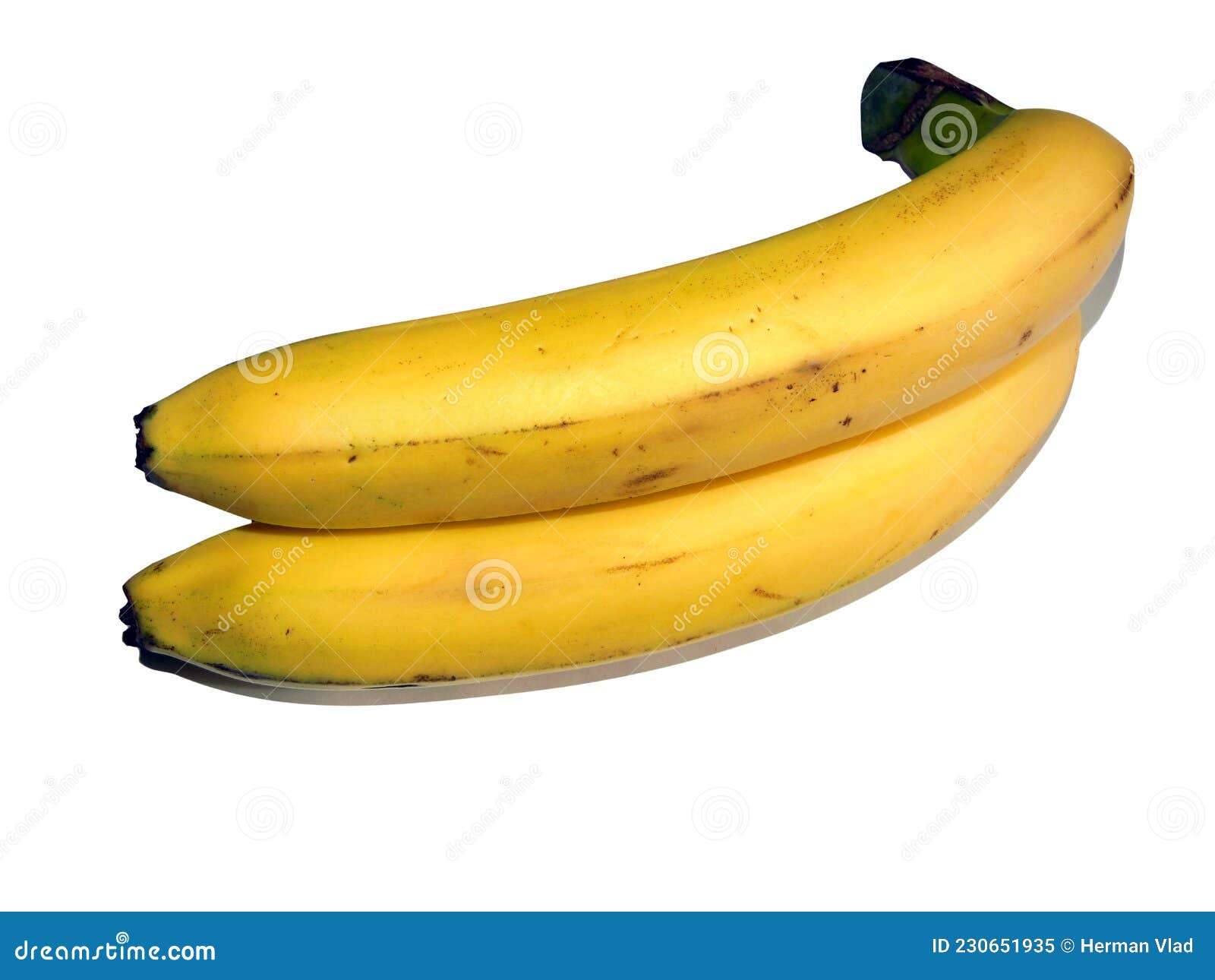 Two Bananas Isolated on White Stock Image - Image of macro, fruits ...
