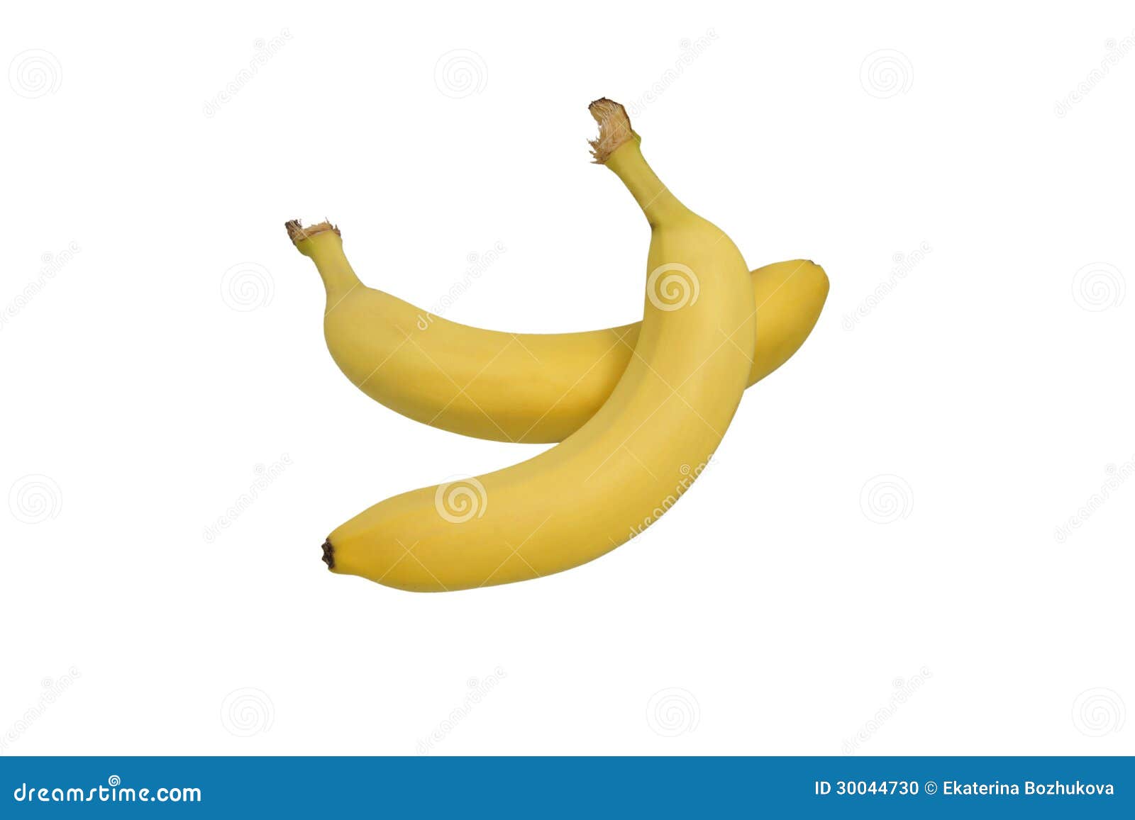 Two bananas. stock photo. Image of pair, banana, clean - 30044730
