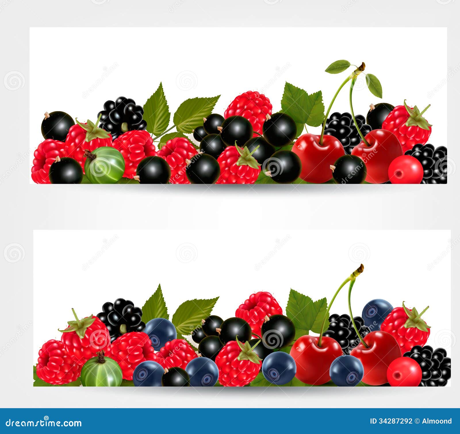 Two Banners with Delicious Ripe Berries. Stock Vector - Illustration of ...