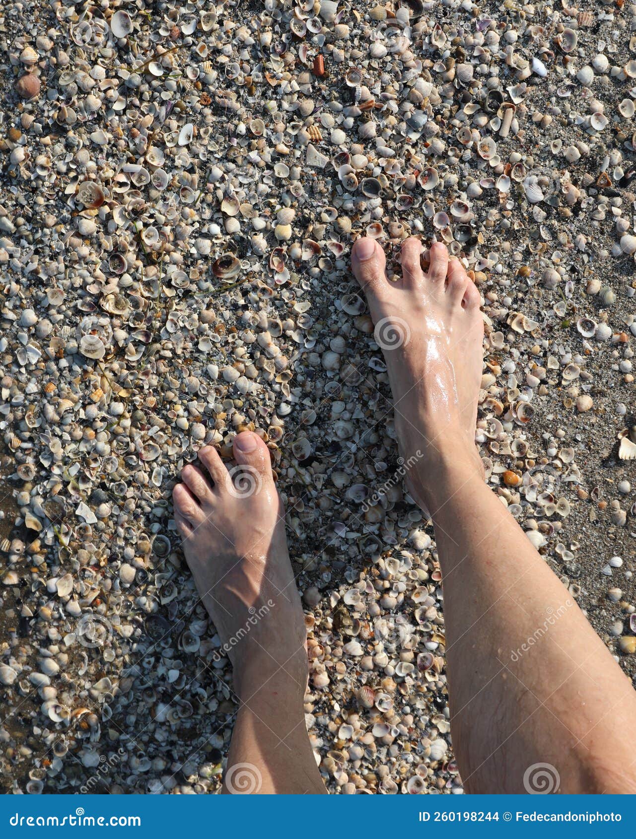 Bare Feet Walking Over a Carpet of Shells Stock Photo - Image of water ...