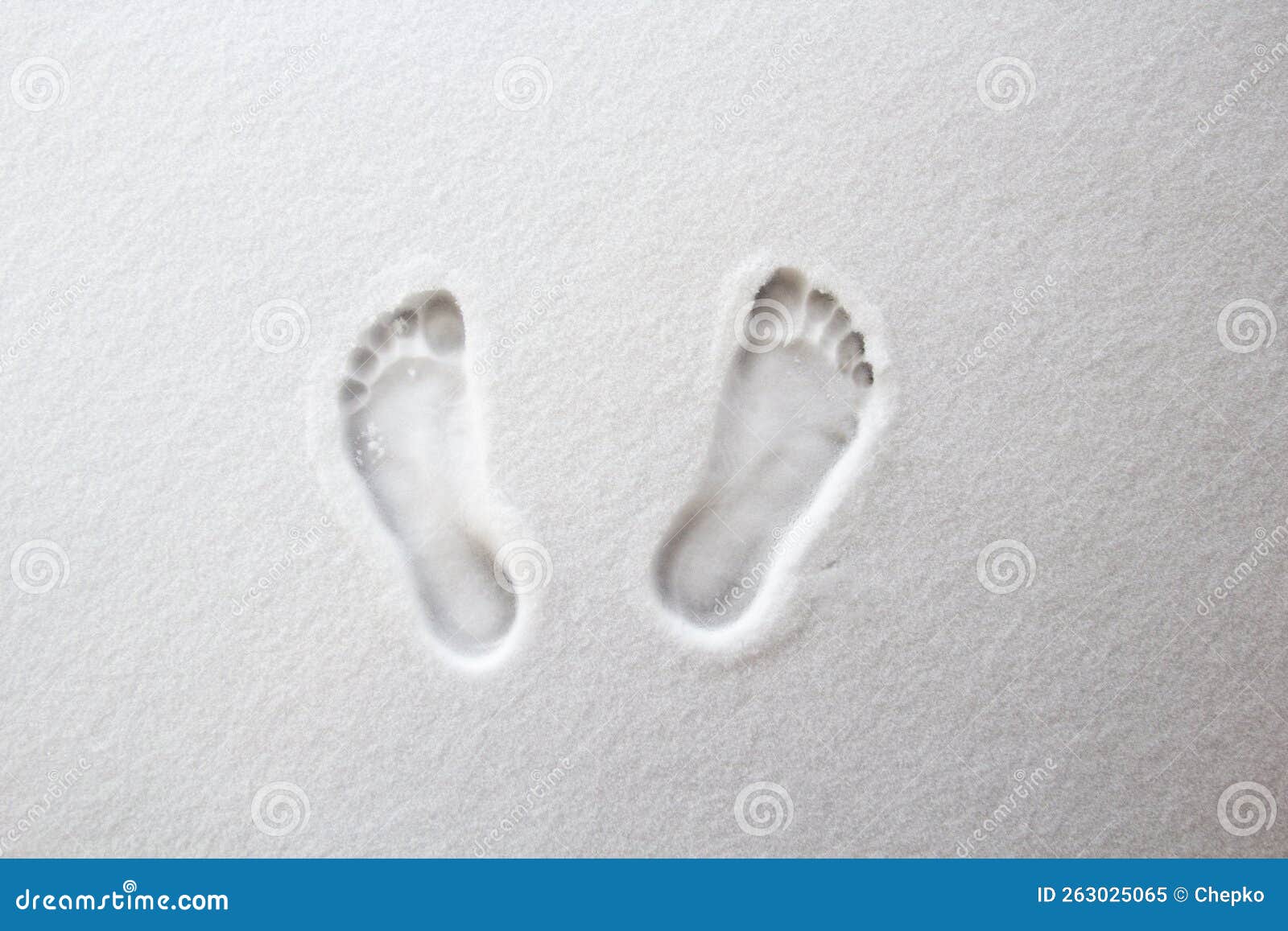 Two Bare Foot on the Fresh White Snow Stock Image - Image of contour ...