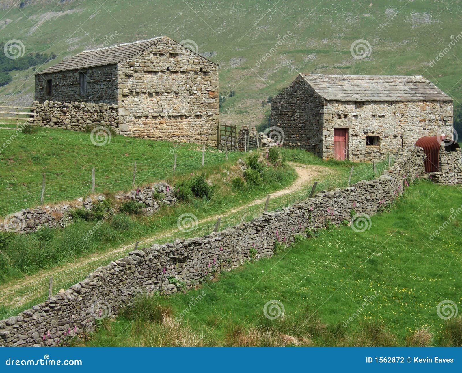 Two barns stock photo. Image of barns, agriculture, green - 1562872