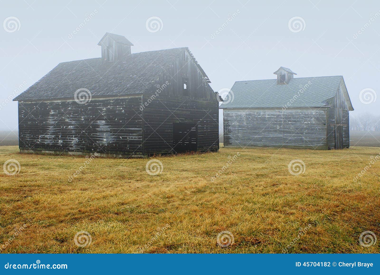 Two Barns in fog stock photo. Image of grain, farming - 45704182