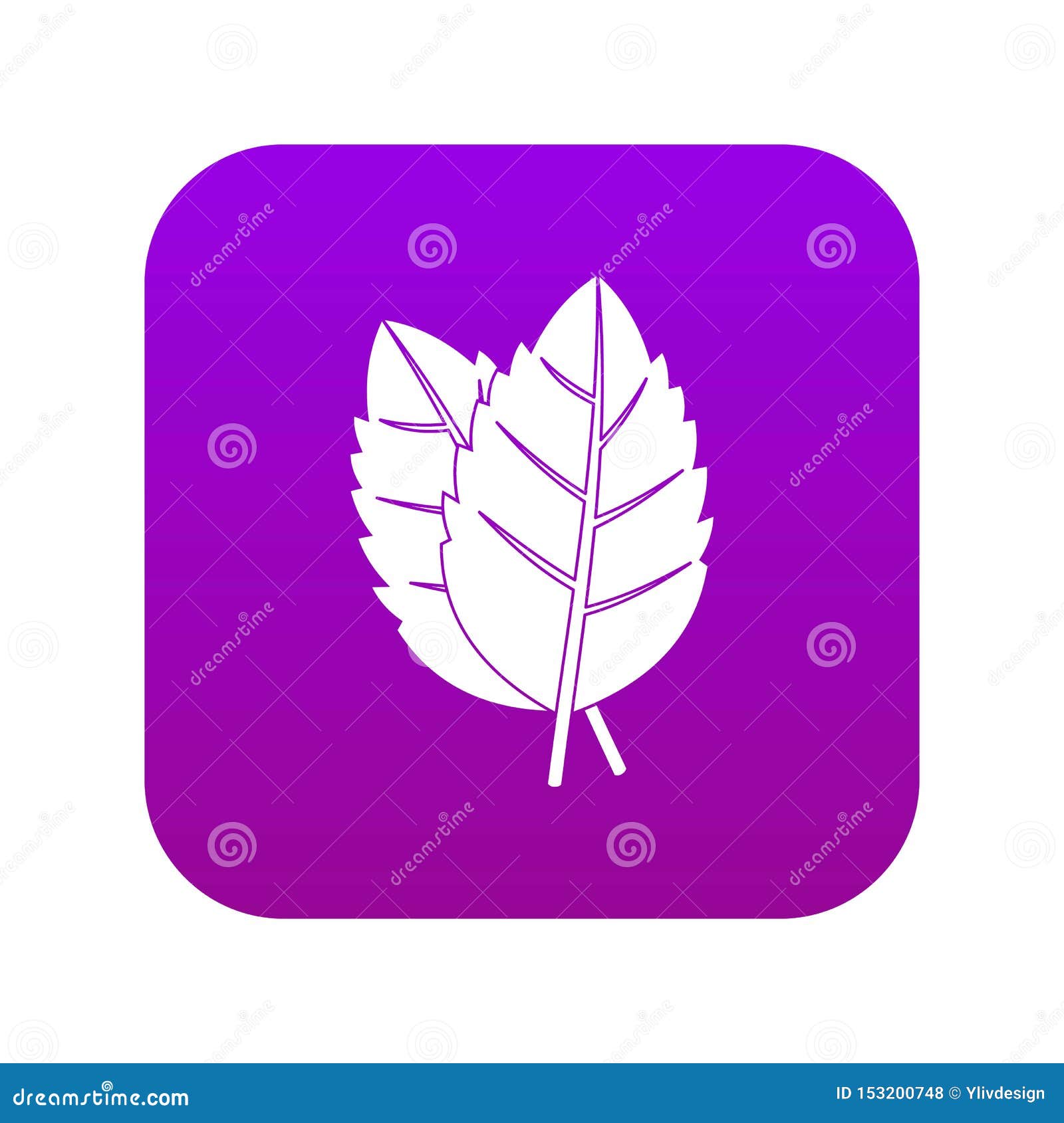 Two Basil Leaves Icon Digital Purple Stock Vector - Illustration of ...