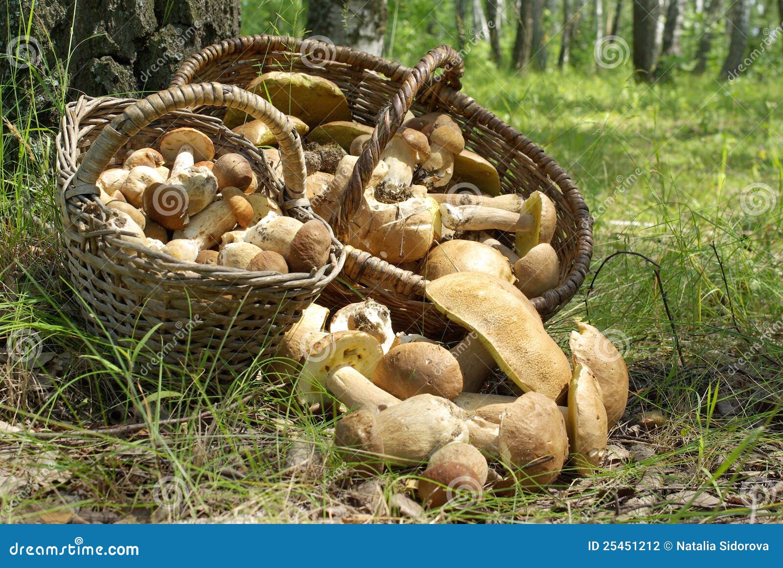 Two baskets of mushrooms stock photo. Image of environment - 25451212