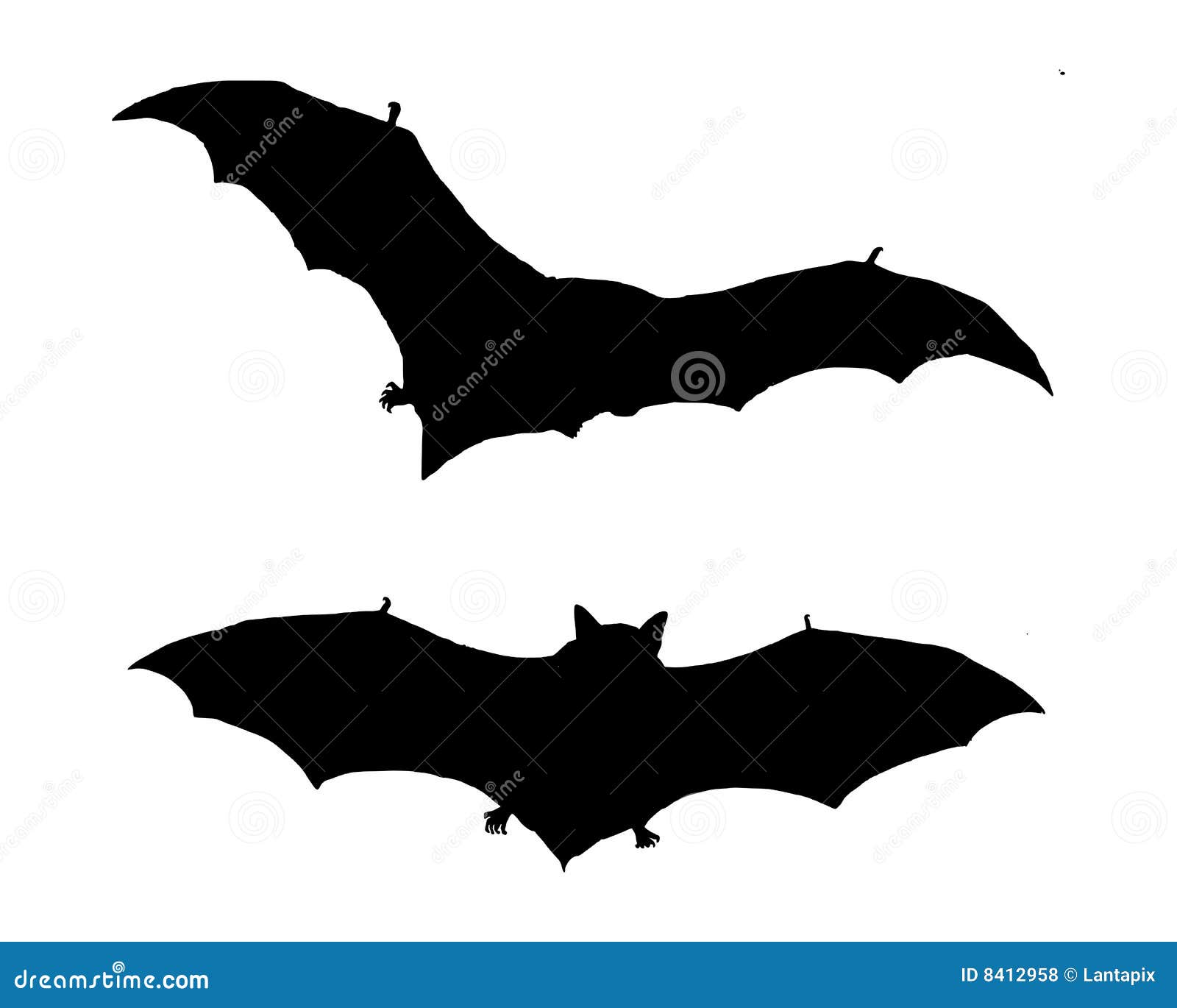 Two bats flying stock vector. Illustration of vector, vegetarian - 8412958