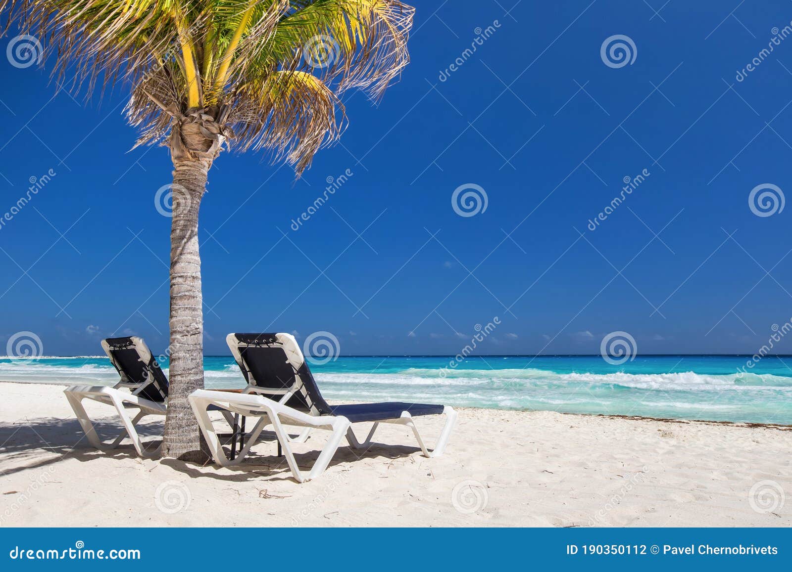 Two Beach Beds Under Palm Tree on Beachfront Stock Photo - Image of ...