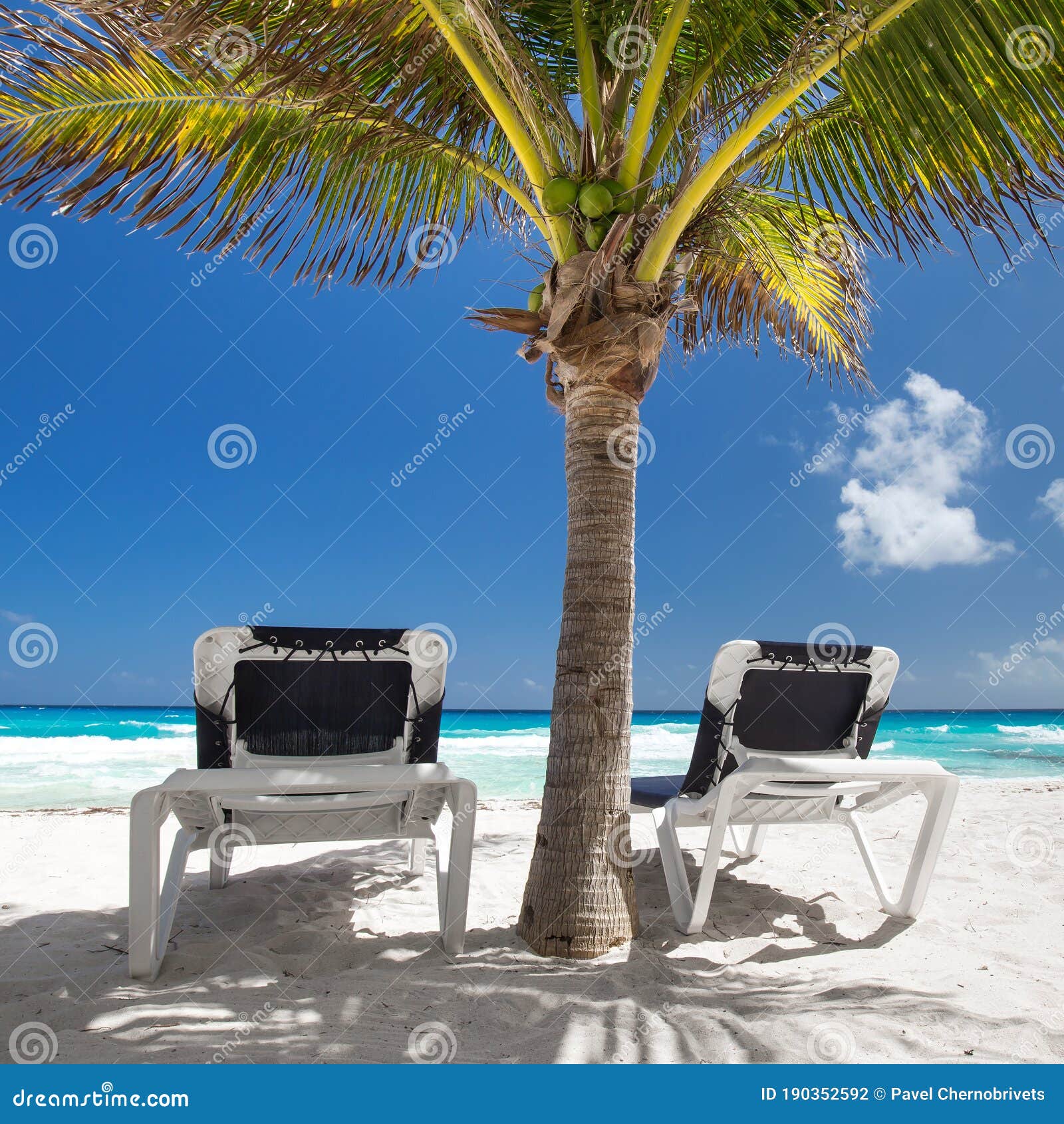 Two Beach Beds Under Palm Tree on Beachfront Stock Photo - Image of ...