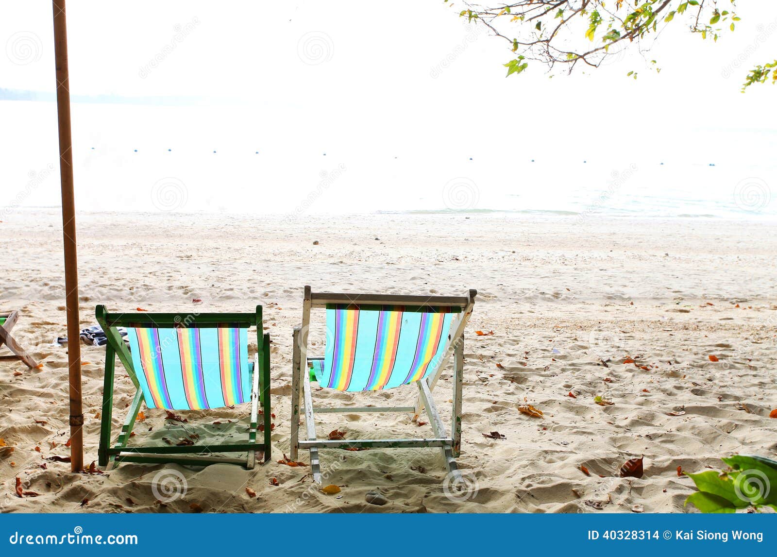 Two Beach Chairs stock photo. Image of summer, outside - 40328314