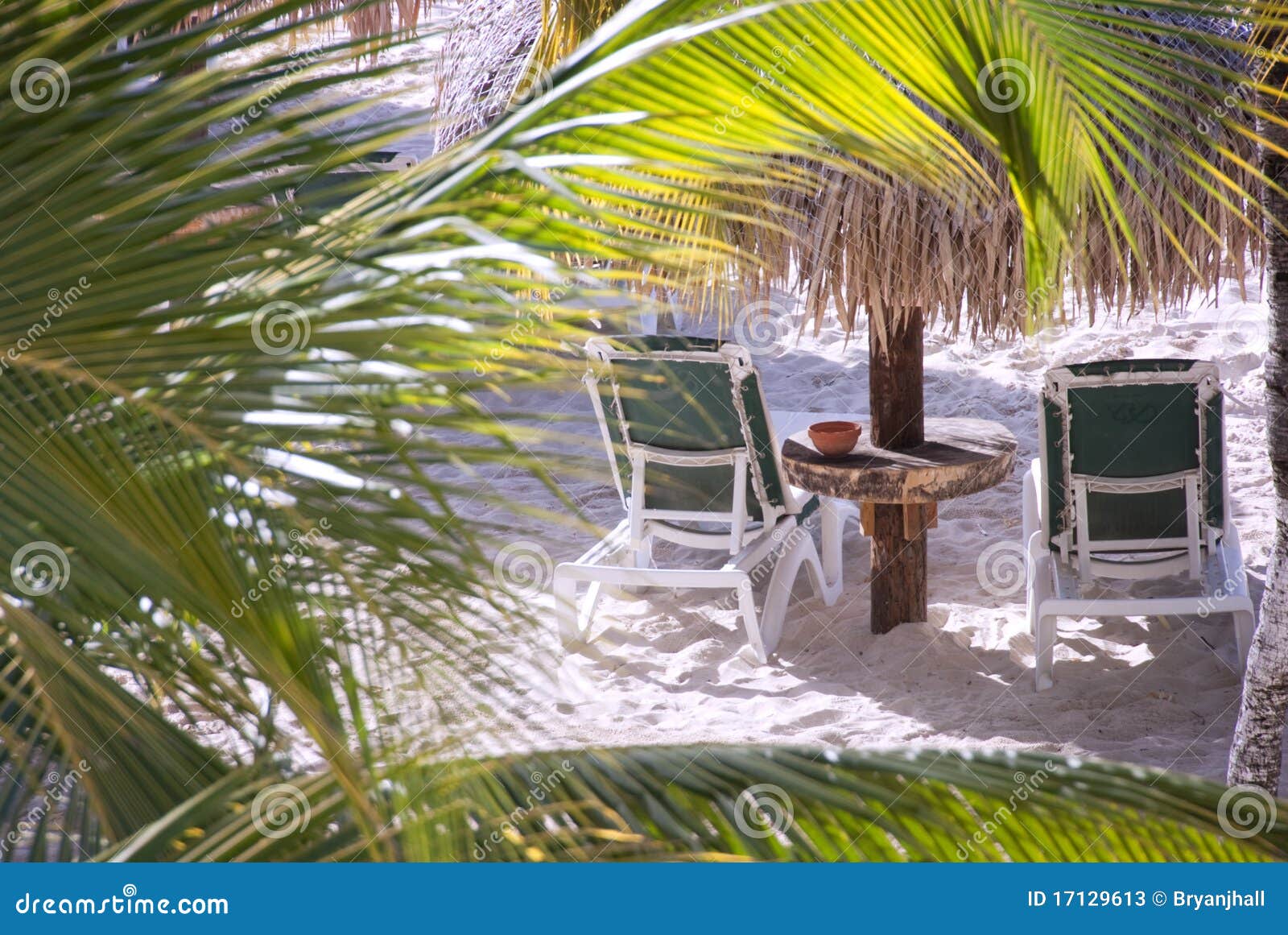 Two Beach Chairs through the Trees Stock Image - Image of paradise ...