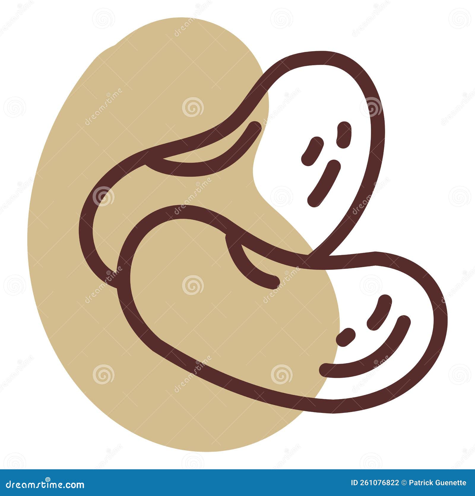 Two beans, icon stock vector. Illustration of cappuccino - 261076822