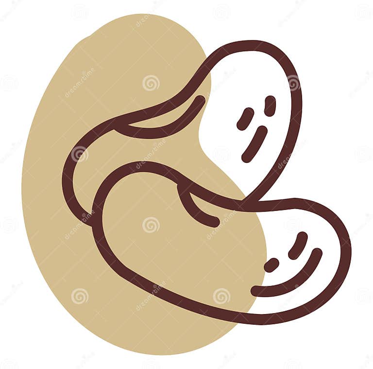 Two beans, icon stock vector. Illustration of cappuccino - 261076822