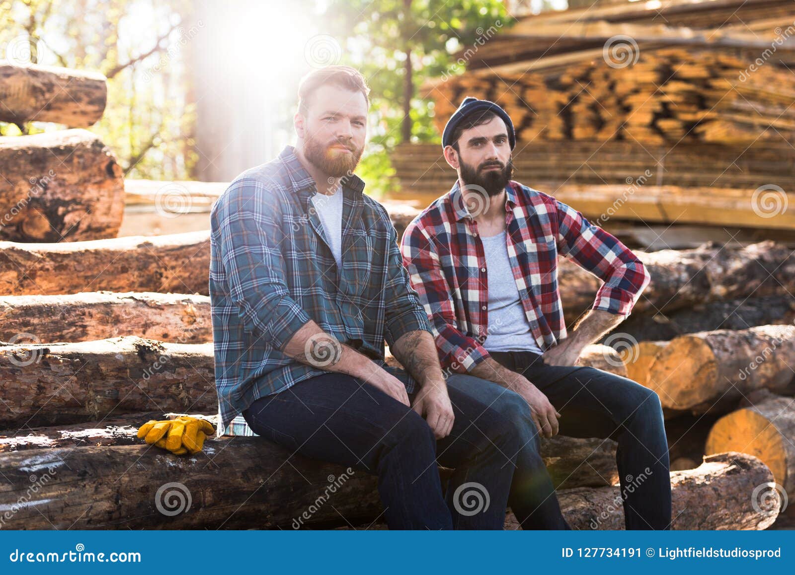 Two Bearded Lumberjacks Resting and Sitting on Logs Stock Image - Image ...
