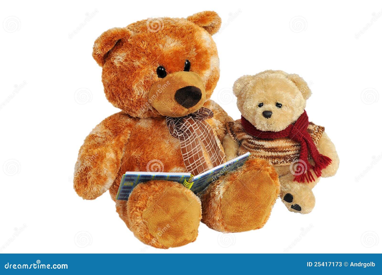 Two bears. stock image. Image of intellectual, information - 25417173