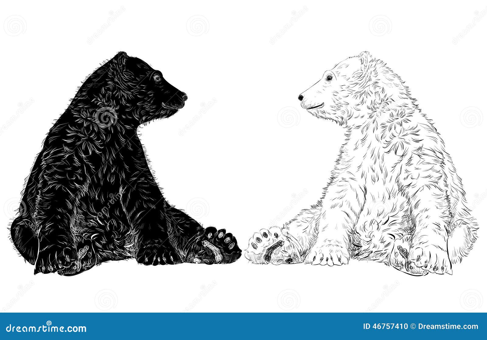 Two bears. stock vector. Illustration of vector, north - 46757410