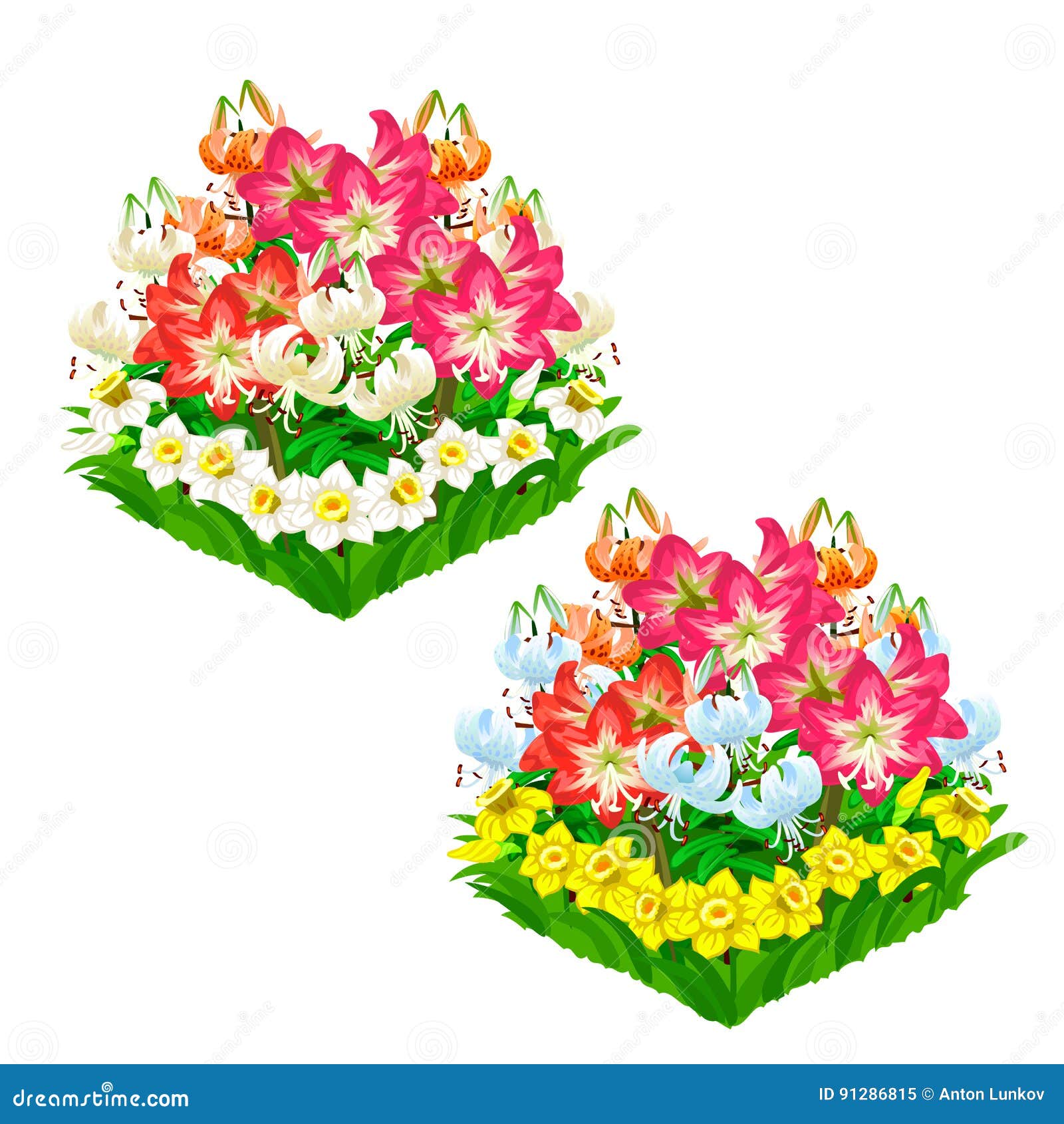 Two Beautiful Flower Beds. Vector Isolated Stock Vector - Illustration ...