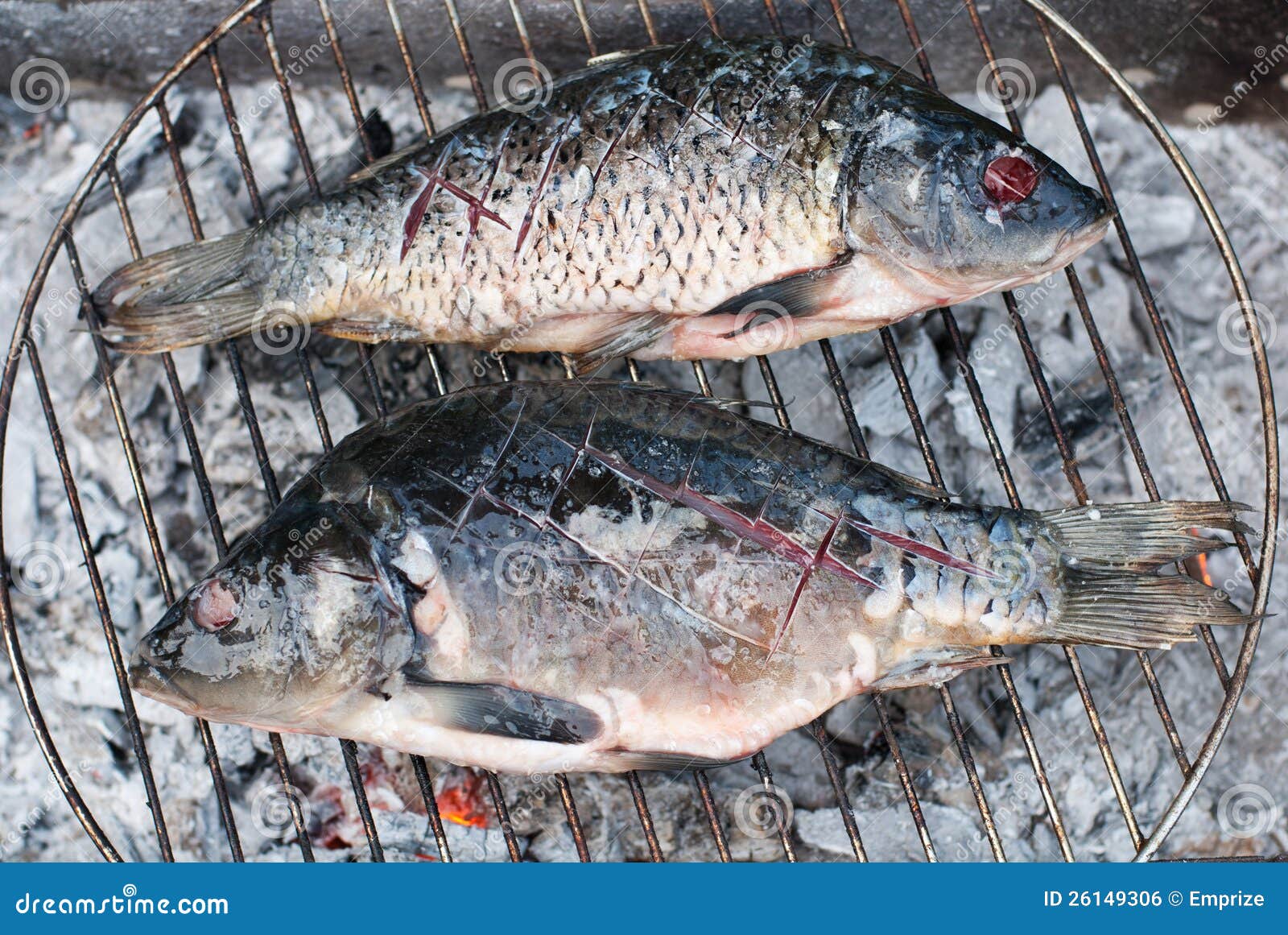 Two Beautiful Grilled European Carps on Barbecue Stock Photo - Image of ...