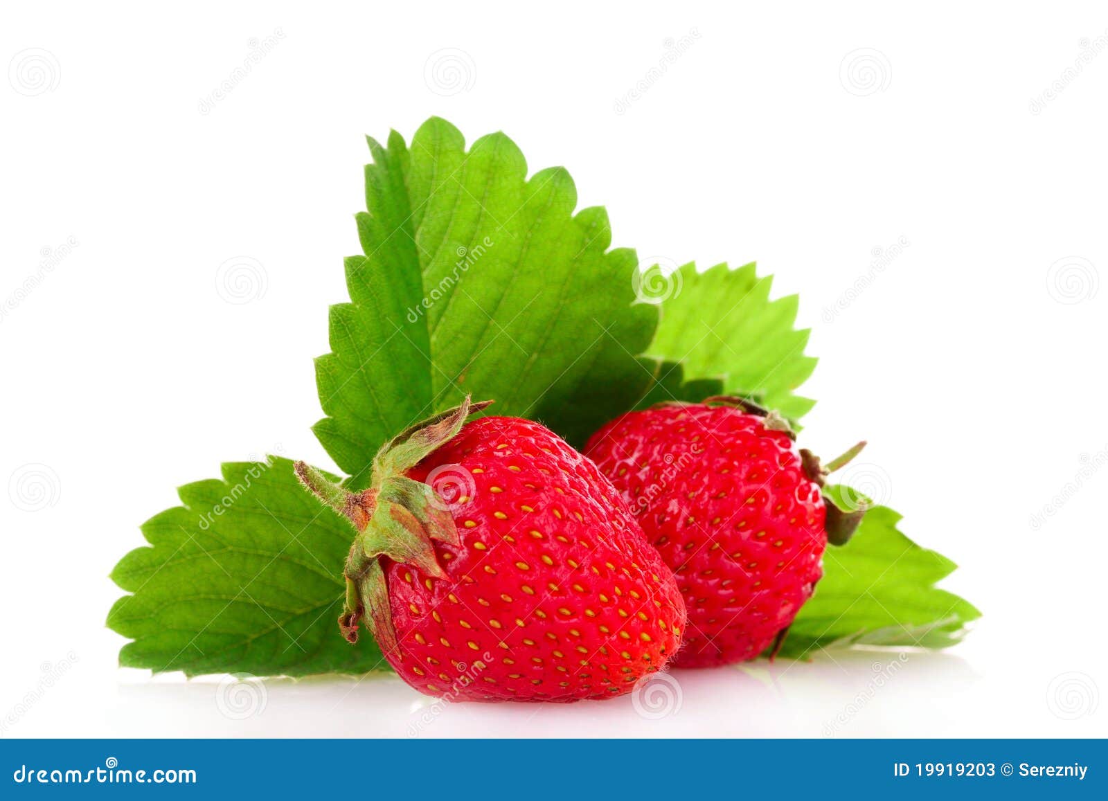 Two Beautiful Strawberries Isolated Stock Image - Image of juicy ...