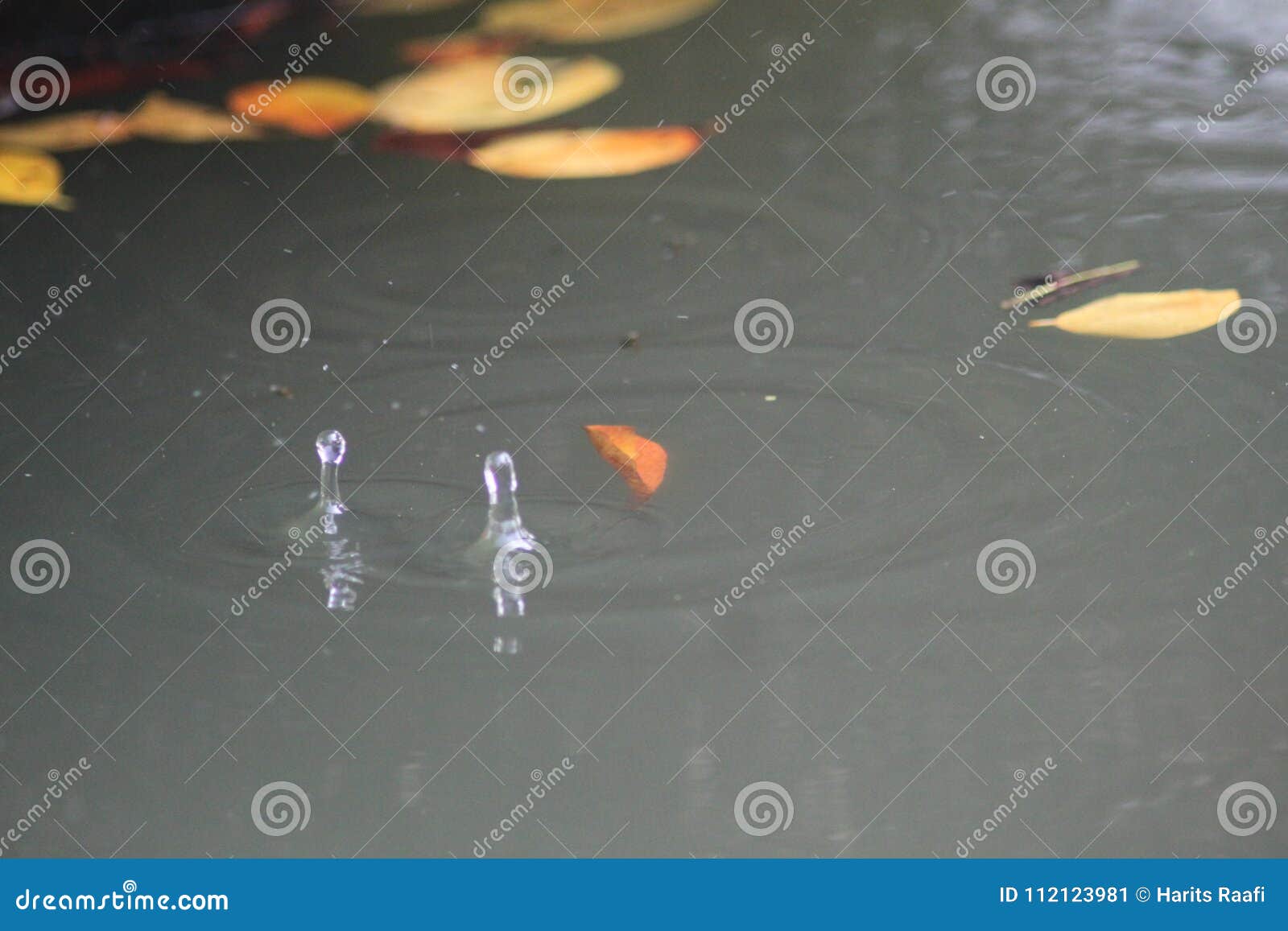 Water Droplet stock image. Image of droplets, nature - 112123981