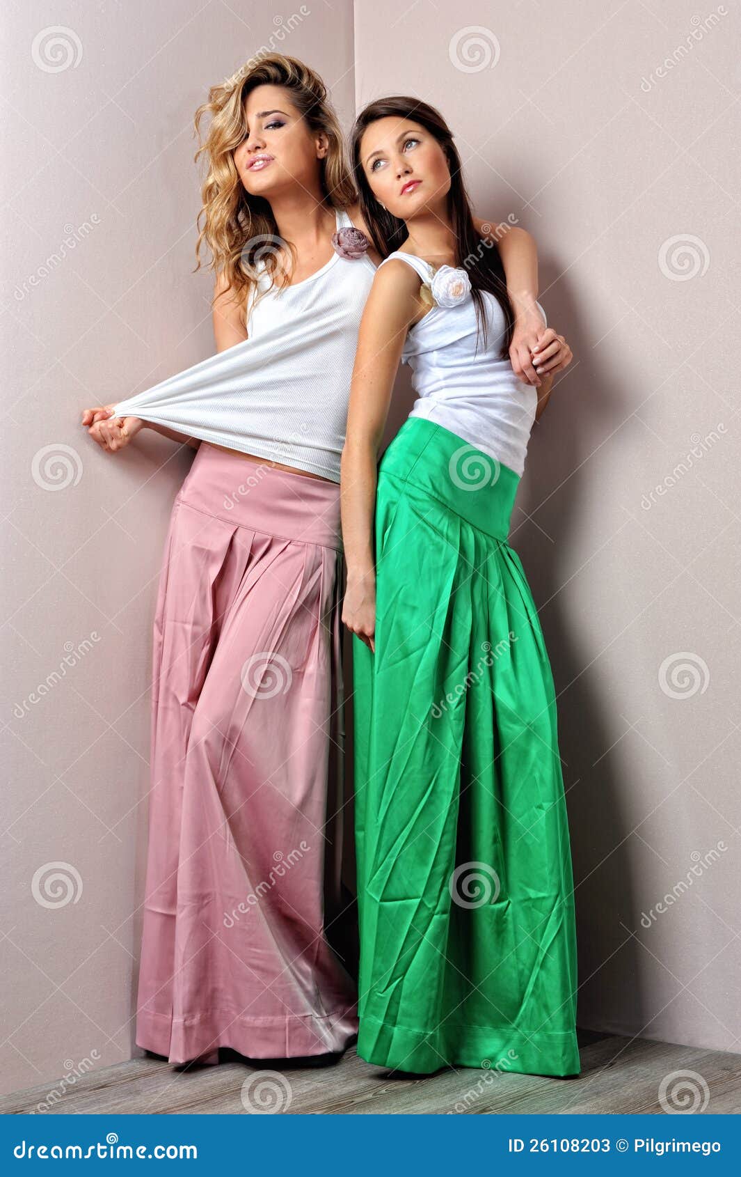 Two Beautiful Woman Posing in a Fancy Dresses Stock Image - Image of ...