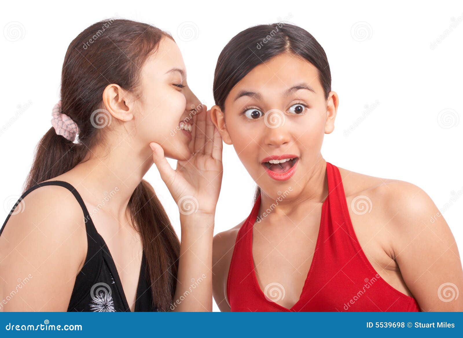 Two beautiful women stock photo. Image of girls, background - 5539698