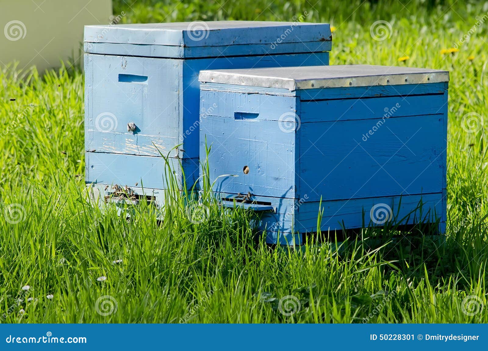 Two bee hive stock image. Image of agriculture, hive - 50228301