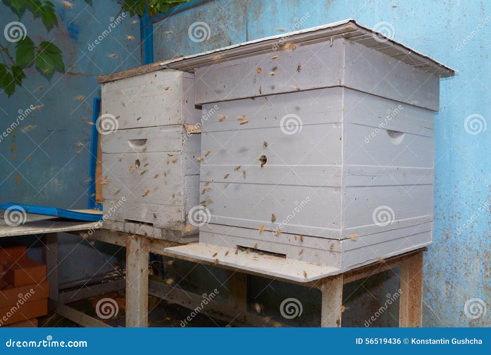 Two beehives stock photo. Image of country, frame, hobby - 56519436