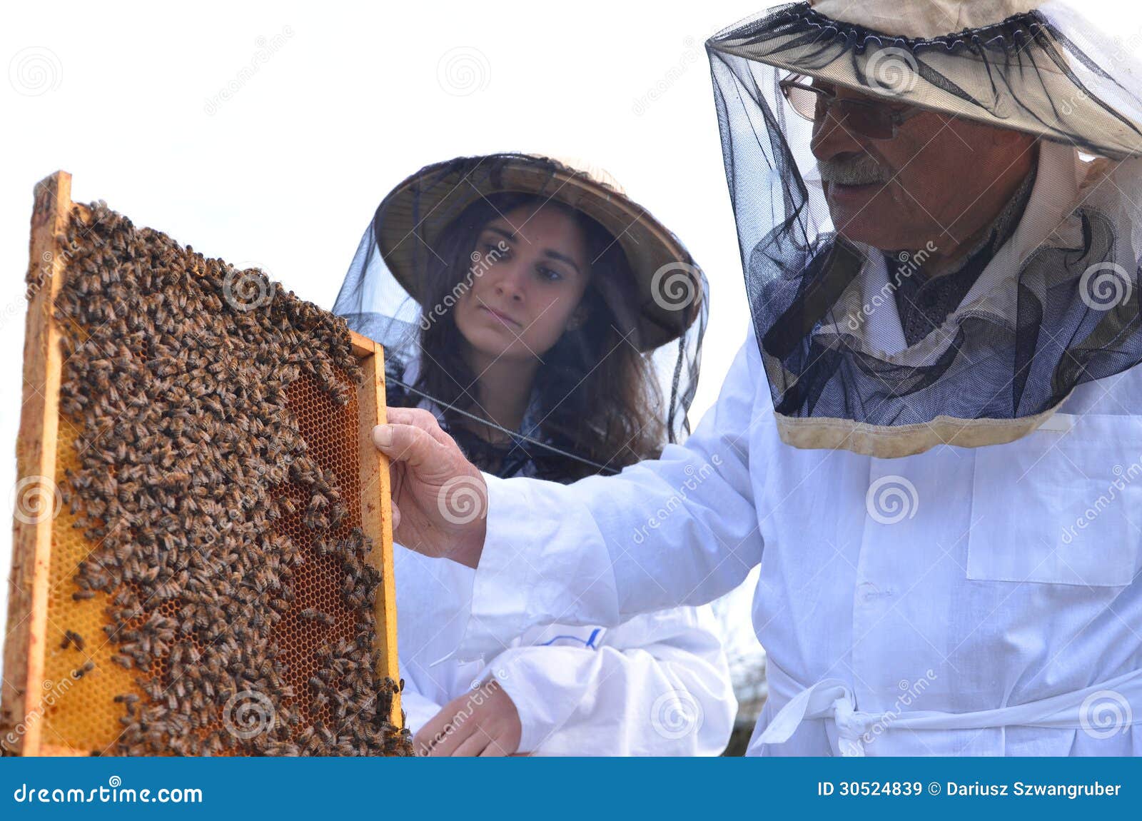 Two Young Beekeepers In Sting Protection Suits Collecting Honey Combs ...