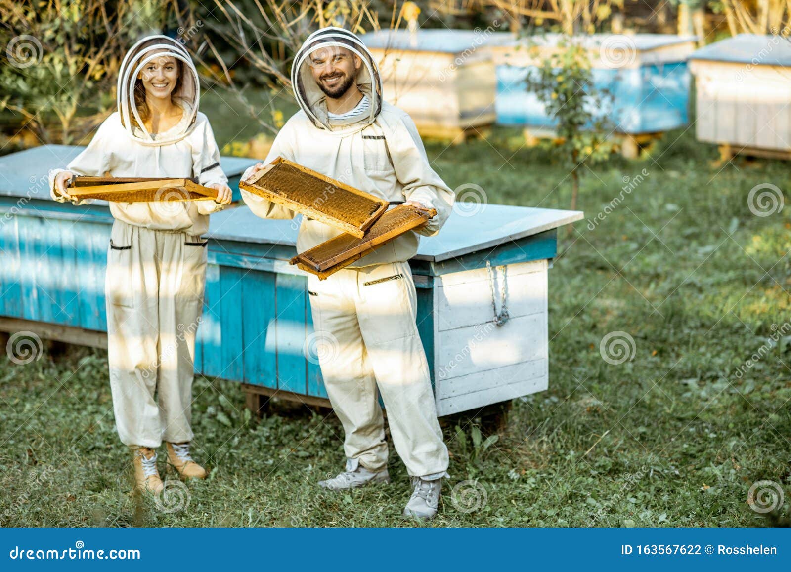 Beekeepers on the apiary stock photo. Image of beehive - 163567622