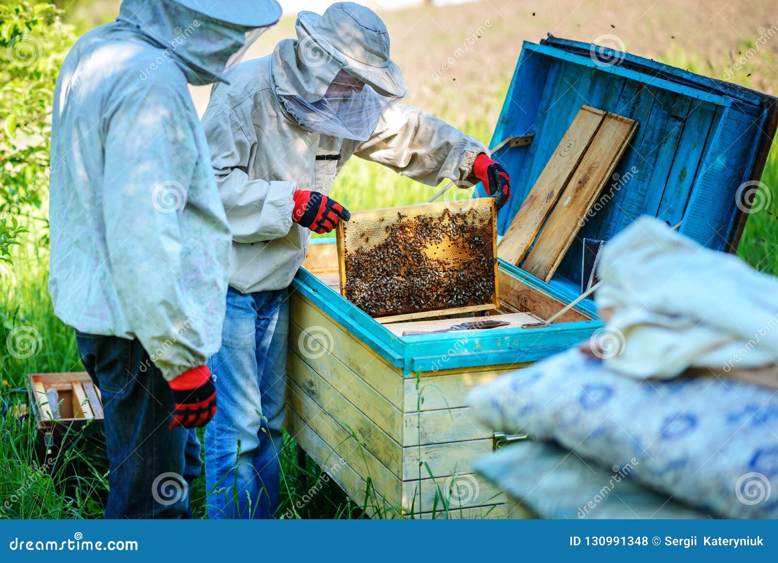 Two Beekeepers Work on an Apiary. Summer Stock Photo - Image of hive ...