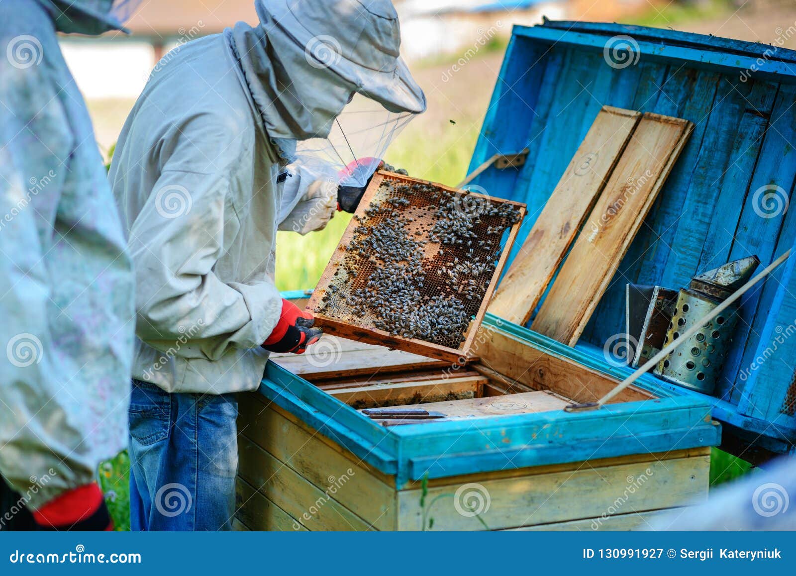 Two Beekeepers Work on an Apiary. Summer Stock Image - Image of ...
