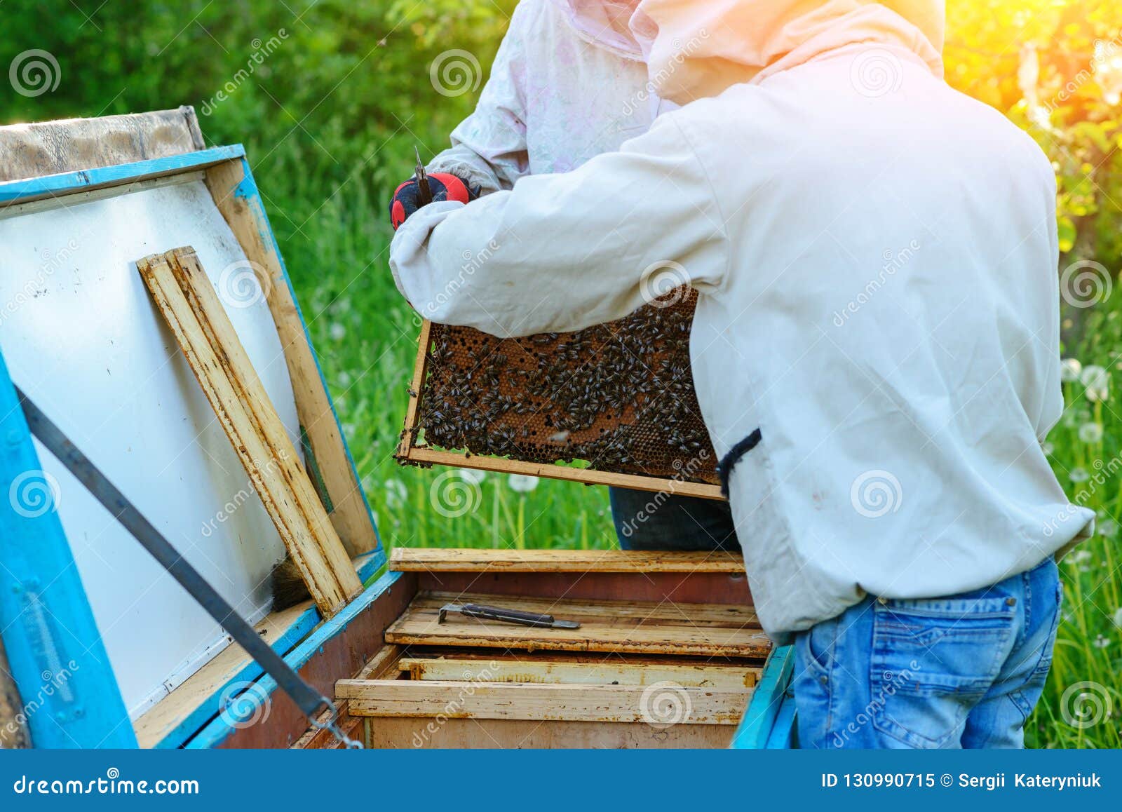 Two Beekeepers Work on an Apiary. Summer Stock Image - Image of ...