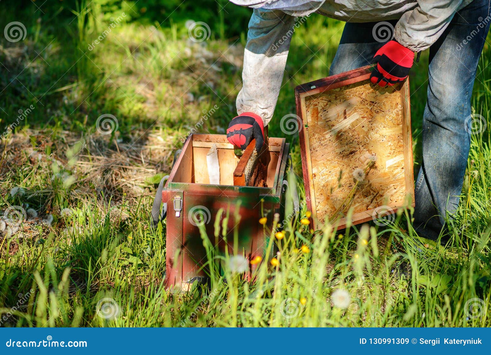 Two Beekeepers Work on an Apiary. Summer Stock Image - Image of ...