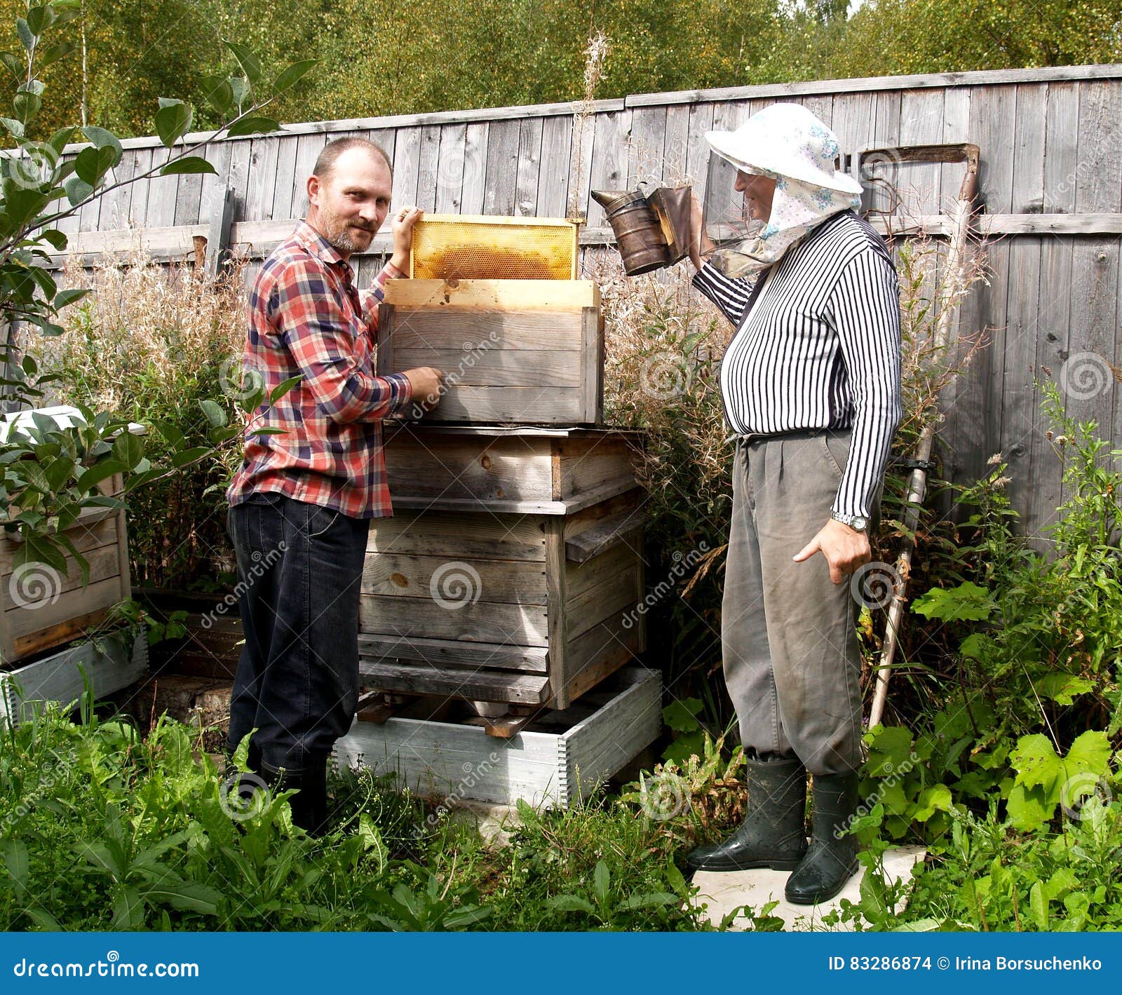 Two Beekeepers Work about a Beehive. Summer Stock Photo - Image of ...