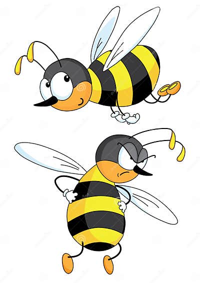 Two bees stock vector. Illustration of black, stripes - 13737290