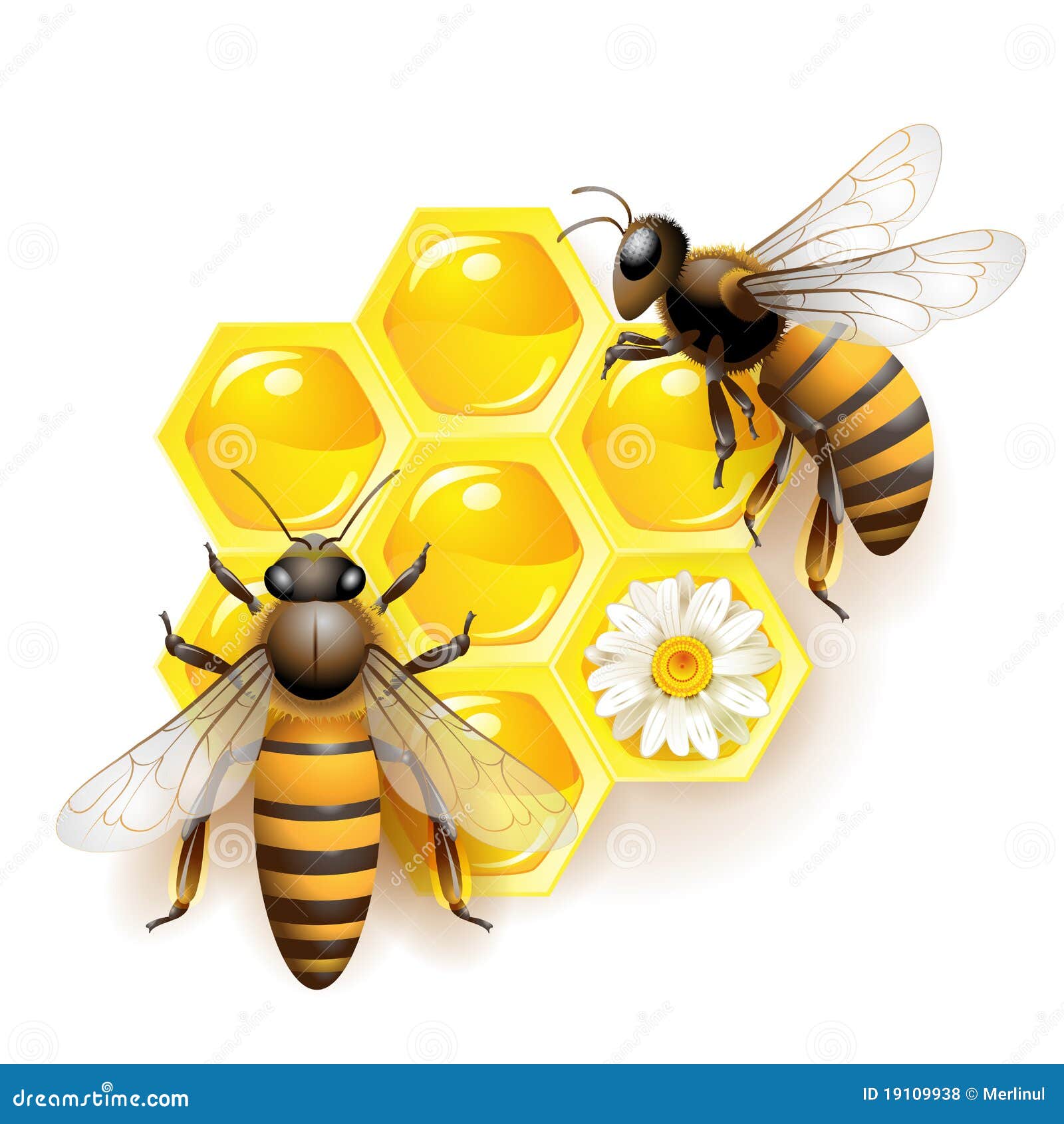 Two bees stock vector. Illustration of lifestyles, beehive - 19109938