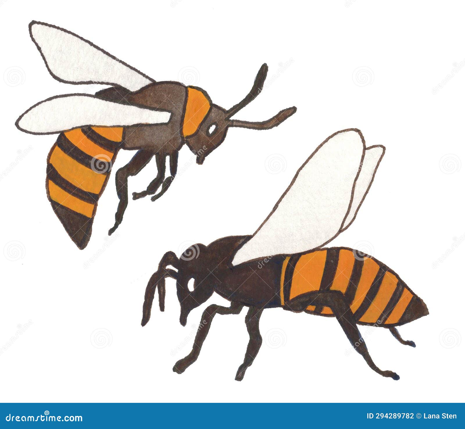 Two Bees on White Background Stock Illustration - Illustration of ...