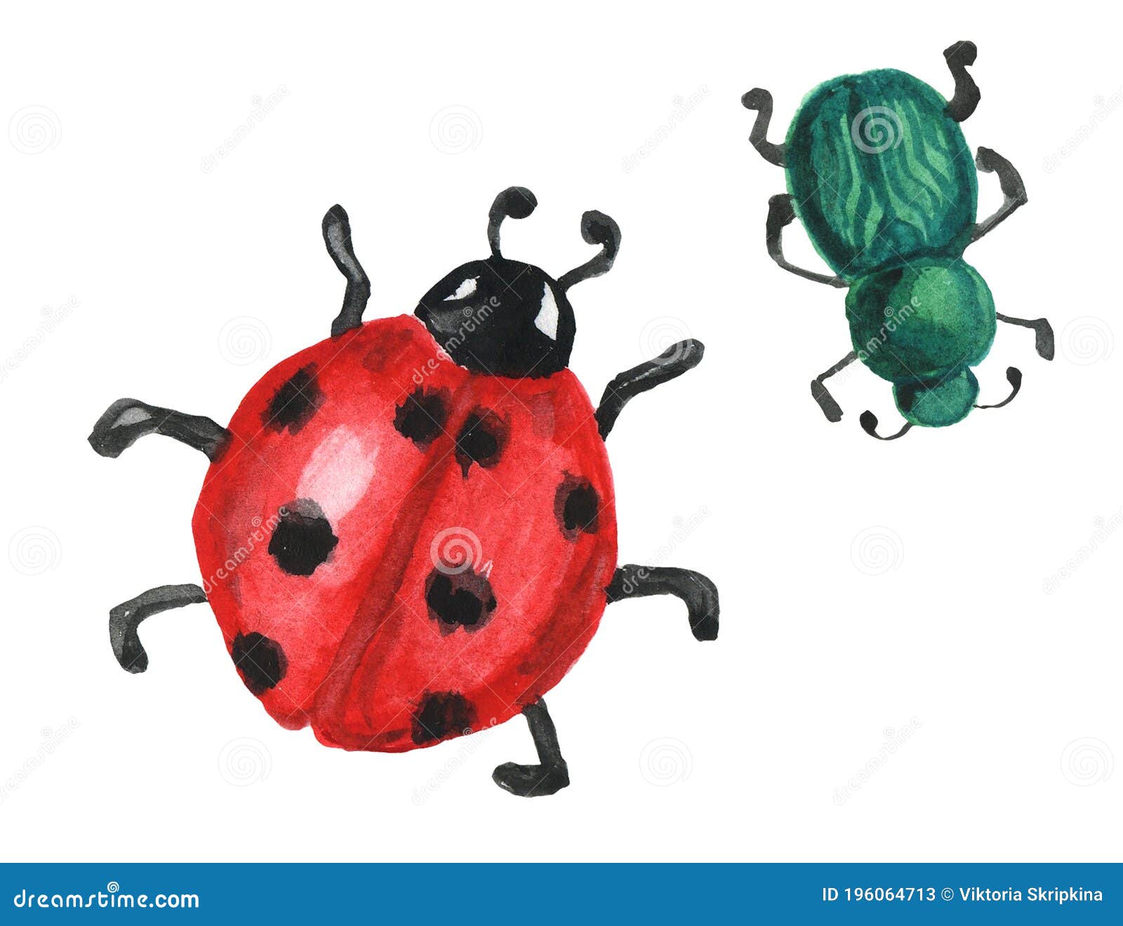 Two Beetles: Green Beetle And Red Ladybug. Stock Image | CartoonDealer ...