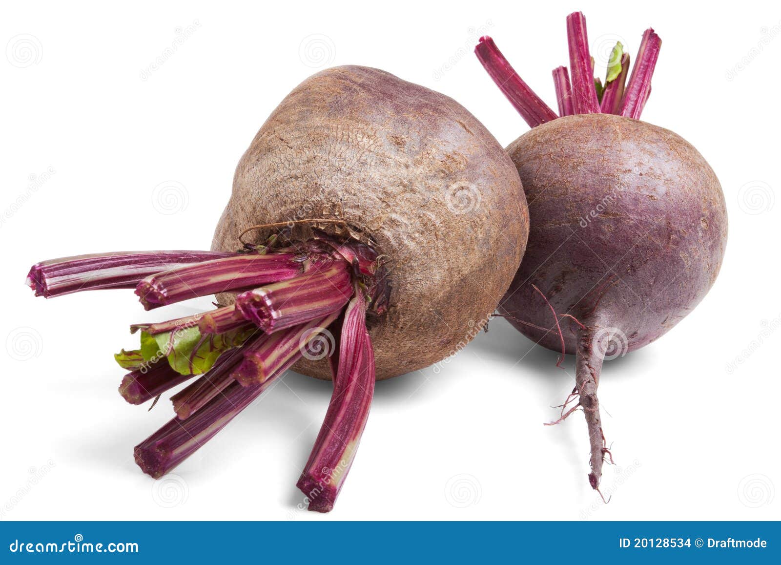 Two beets stock photo. Image of sweet, full, white, garden - 20128534