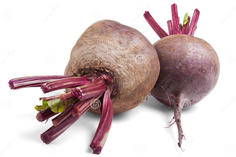 Two beets stock photo. Image of sweet, full, white, garden - 20128534