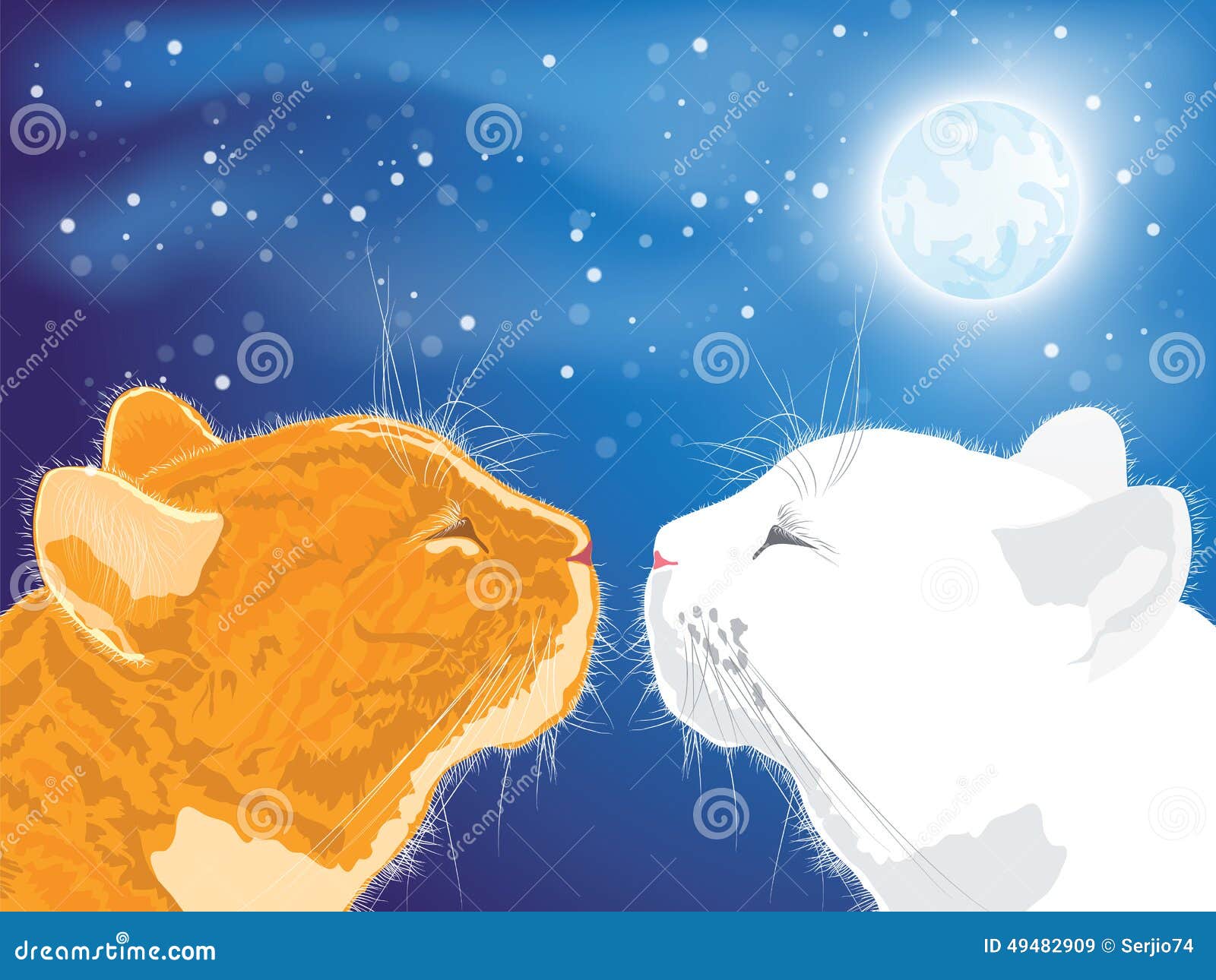 Two Beloved Cats on the Night Sky Background. Stock Vector ...