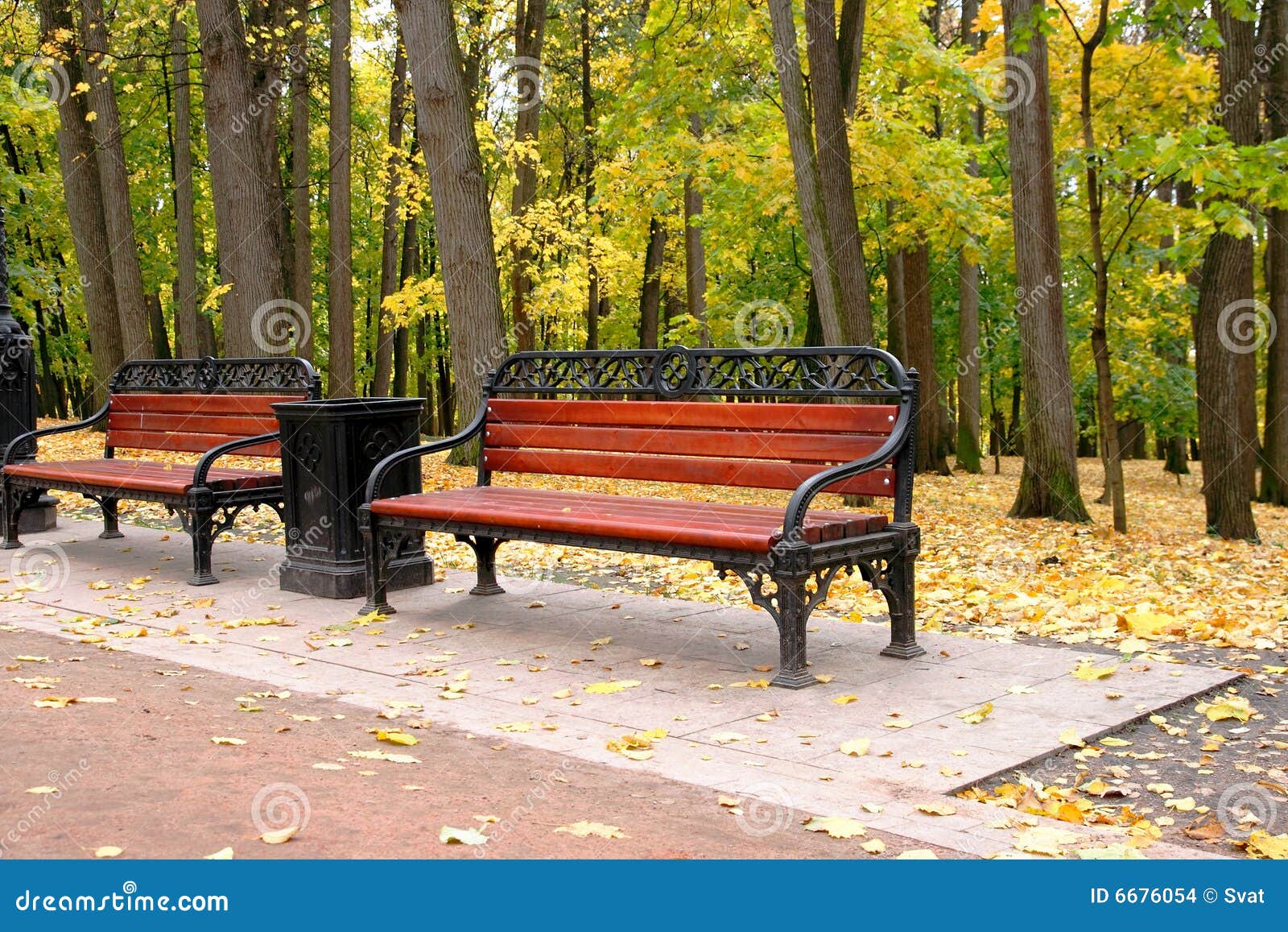 Two benches stock photo. Image of fall, wooden, beautiful - 6676054