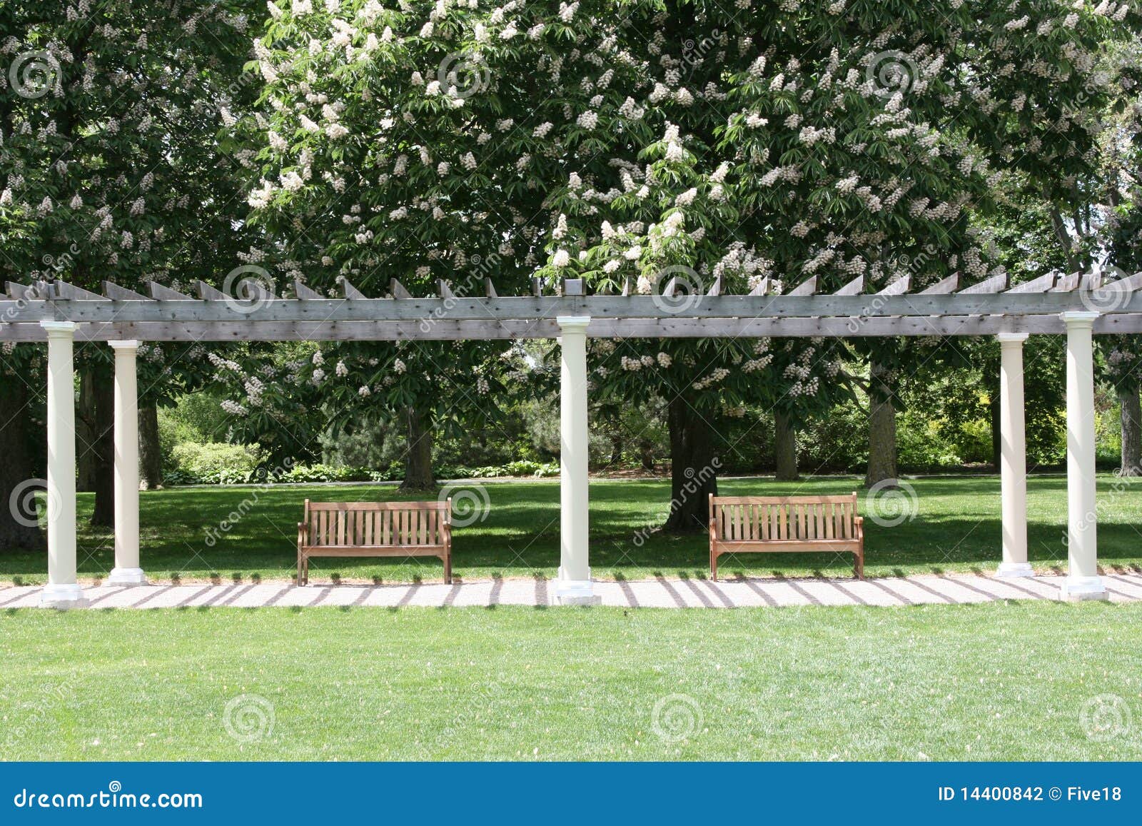 Two Benches Along Path Under Pergola Stock Photo - Image of landscape ...