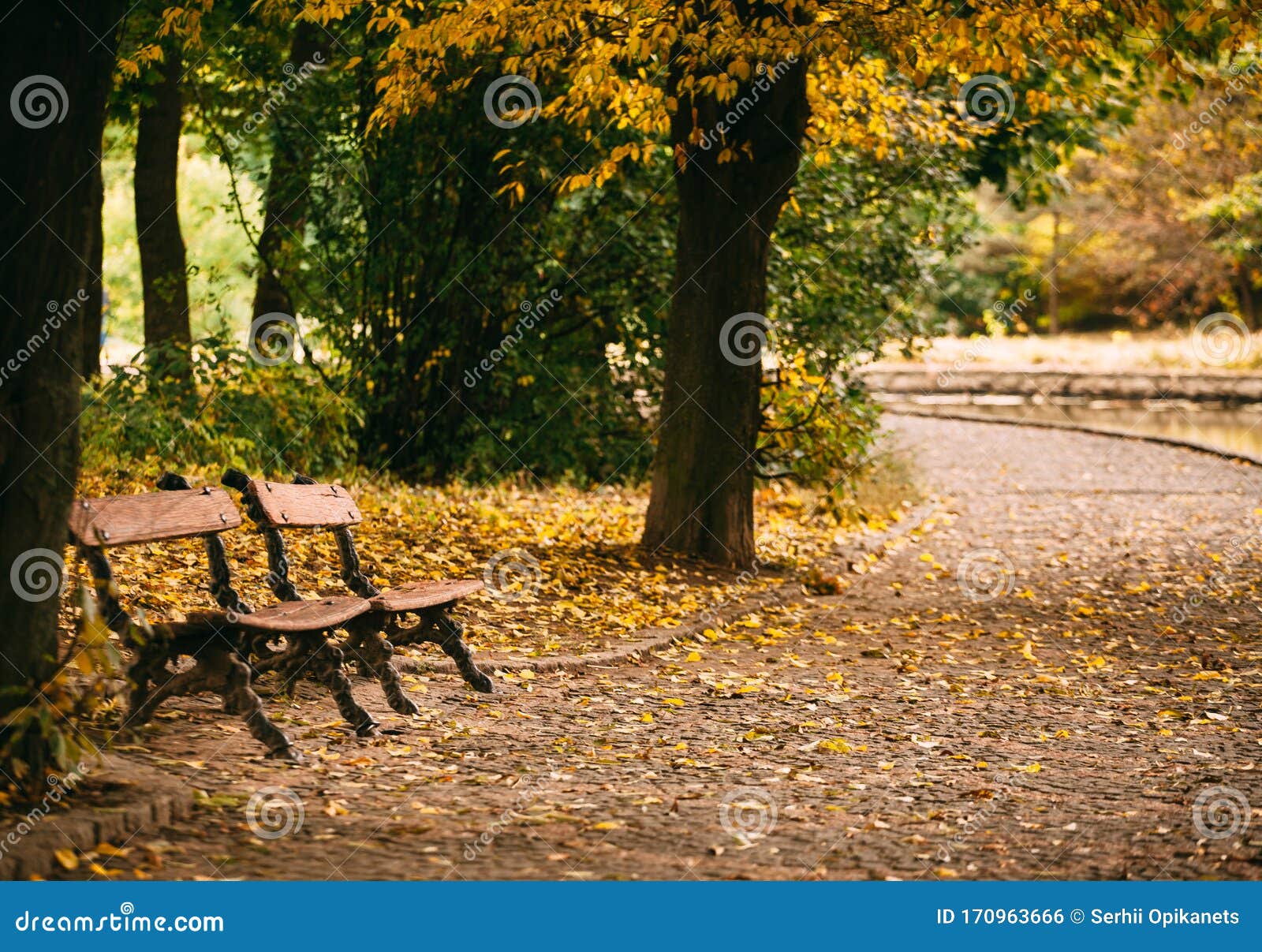 Two Benches in an Autumn Park by the River. Golden Autumn Stock Photo ...