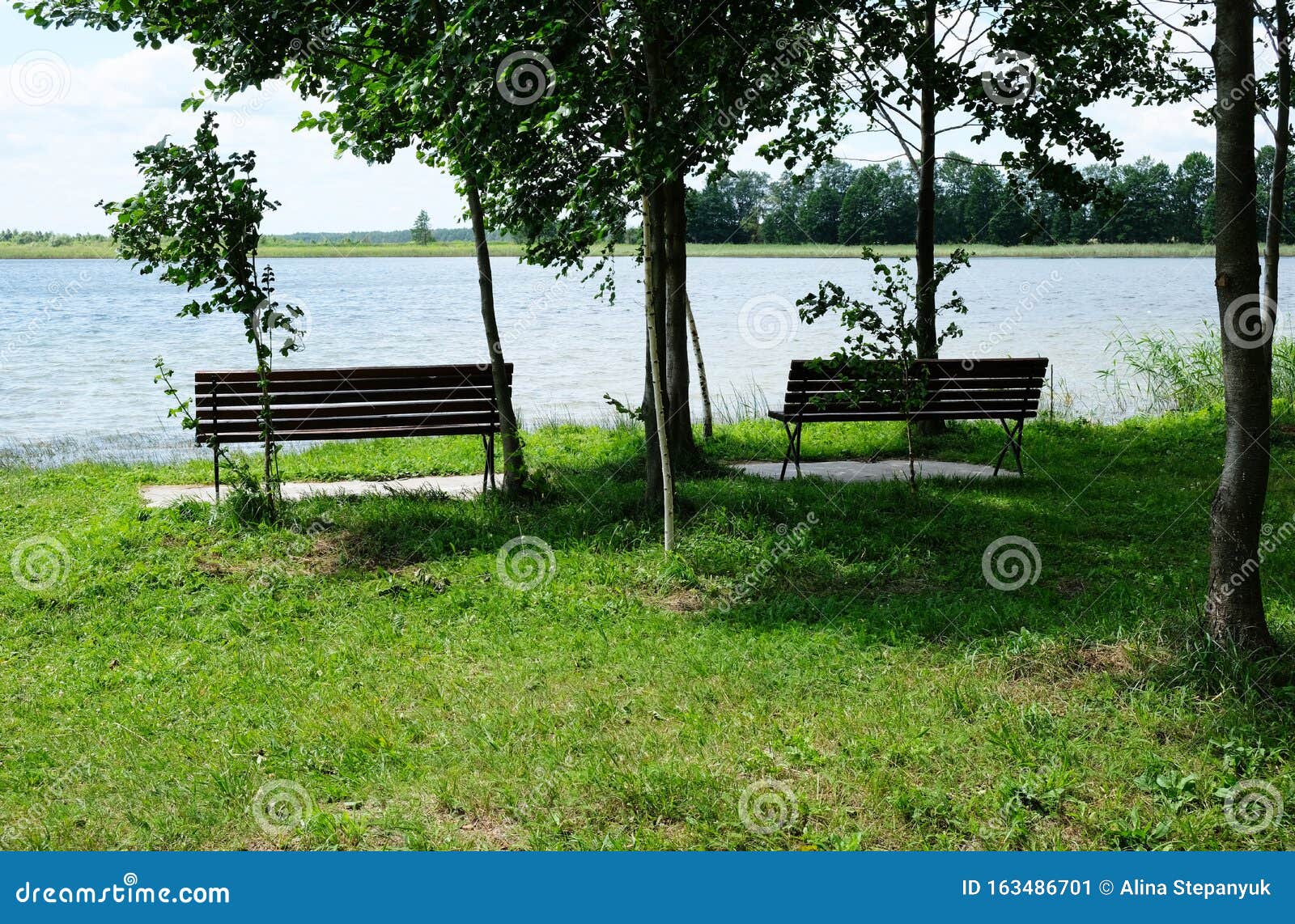 Two benches by the lake stock image. Image of pair, lake - 163486701