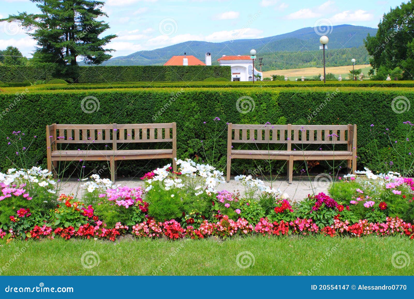 Two benches in the park stock image. Image of beautiful - 20554147