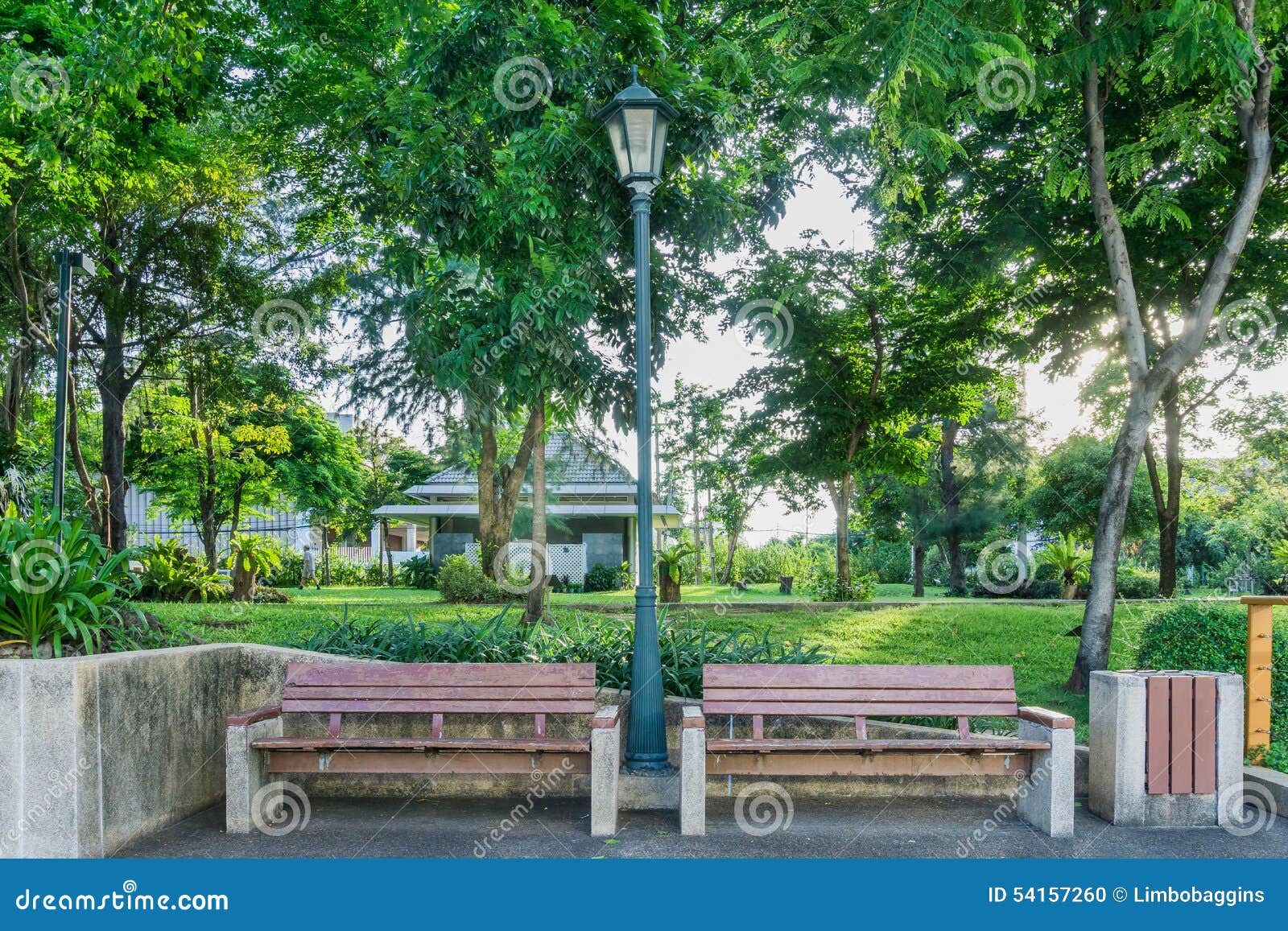 Two benches in the park stock photo. Image of still, nature - 54157260
